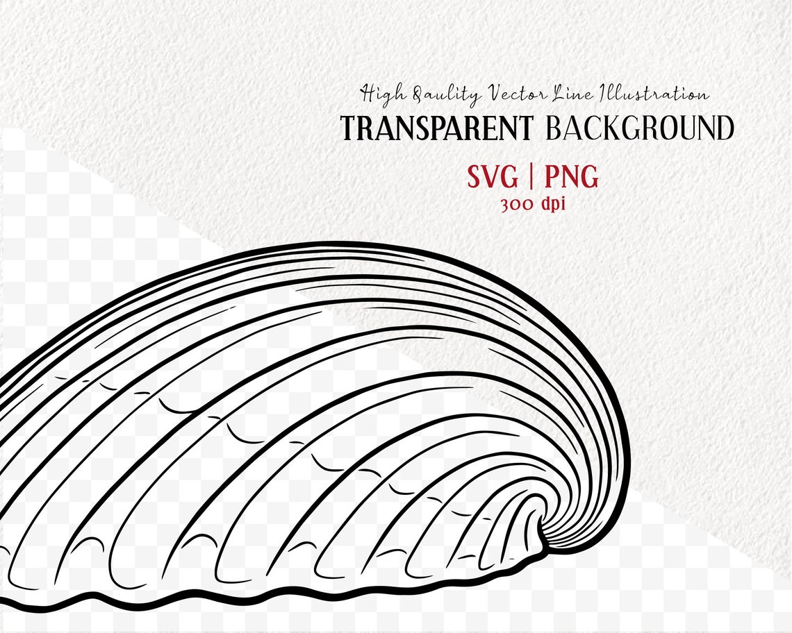 Seashell SVG Clipart. Ocean Themed Vector Line Drawing. - Etsy