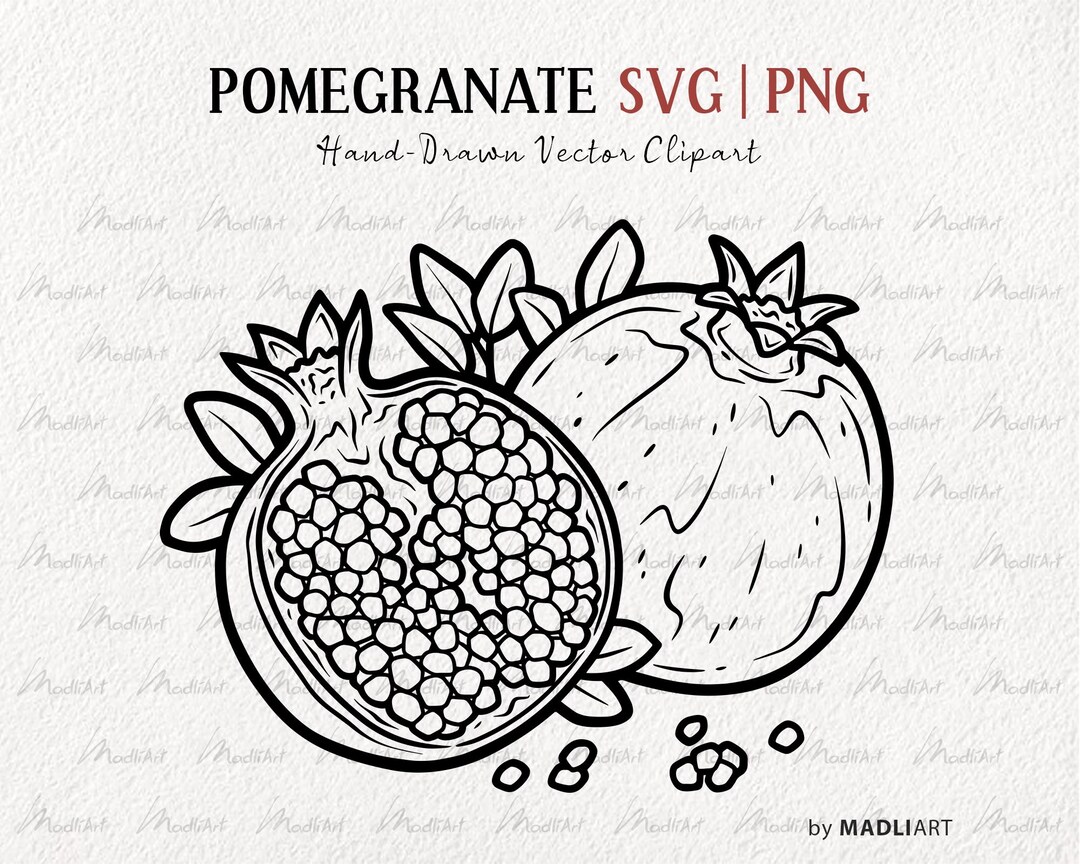 Pomegranate SVG Clipart. Pomegranate Vector Line Drawing. Pomegranate ...