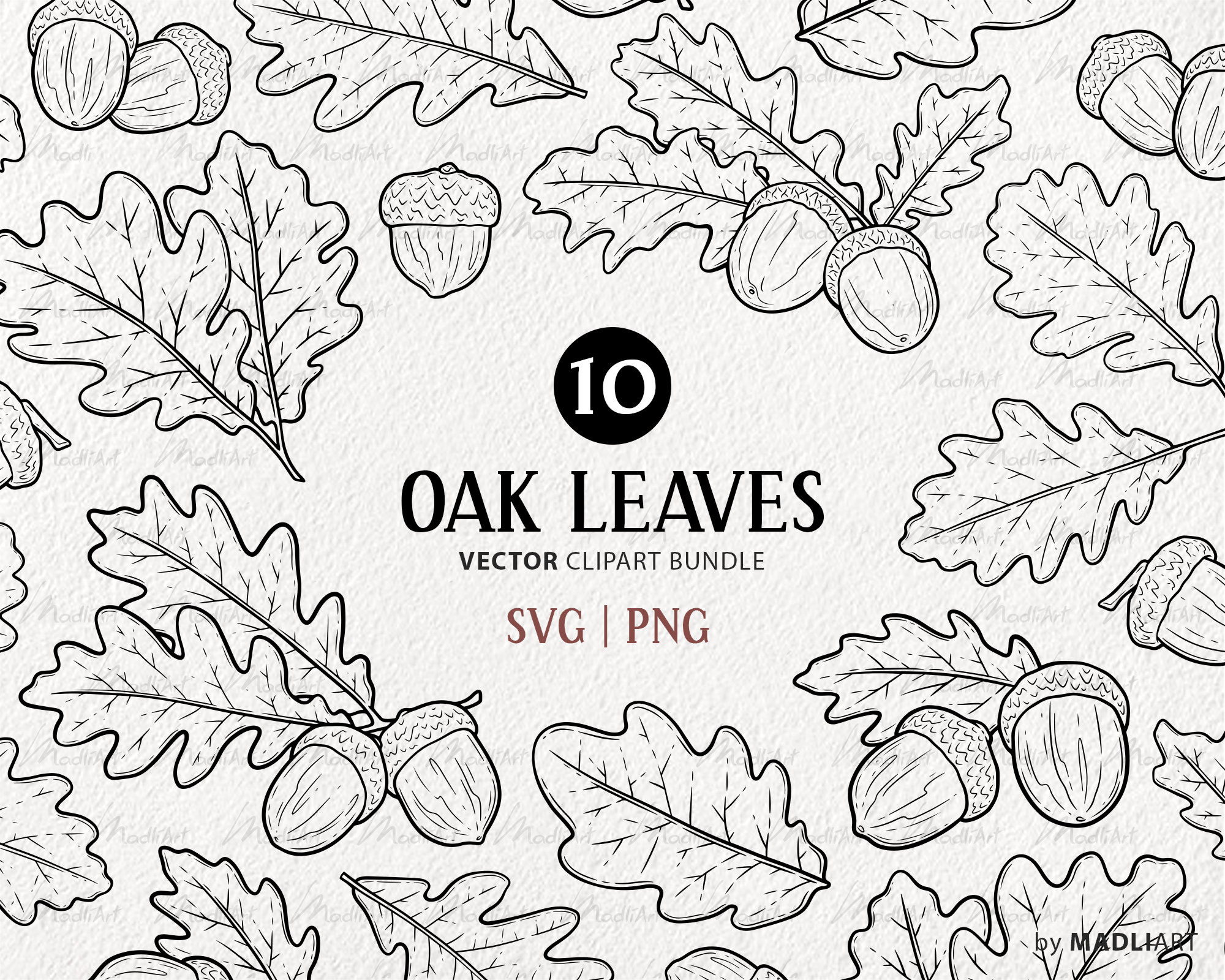 Oak Leaves Clipart Bundle. 10 Vector Botanical Elements. Fall Line ...