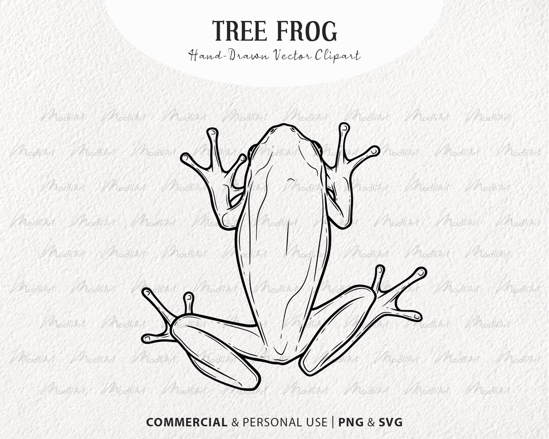 Tree Frog SVG Clipart. Frog Vector Drawing. Green, White and Red-eyed ...