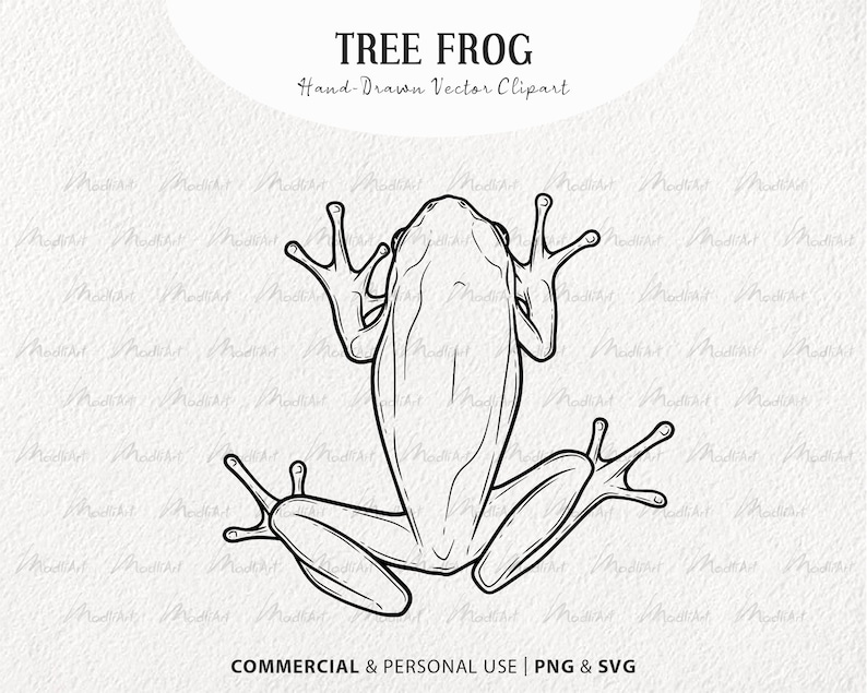 Tree Frog SVG Clipart. Frog Vector Drawing. Green, White and Red-eyed ...
