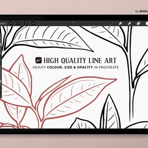 8 Procreate Leaf Stamps. Tree Leaves Tattoo Design. Botanical Line Art ...