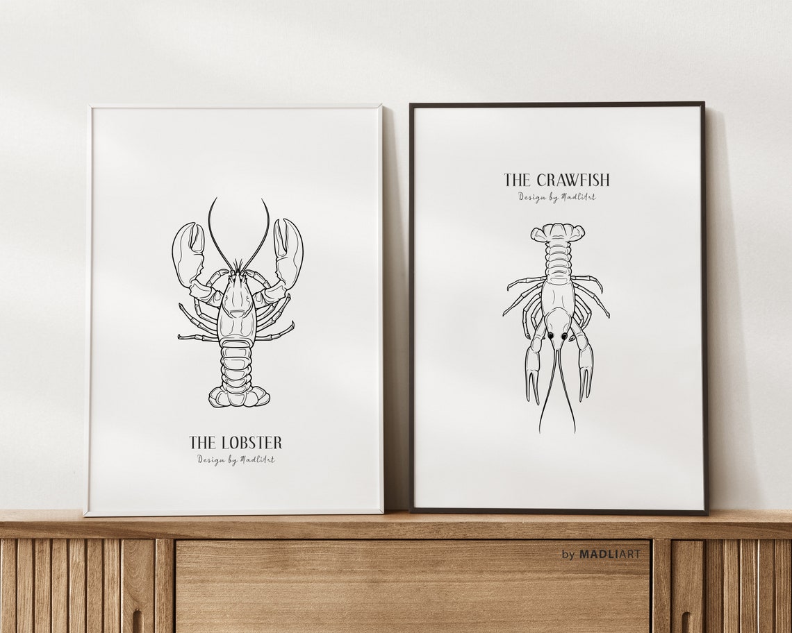 Hard Shell Sea Creatures Clipart Bundle. Marine Animals Vector - Etsy