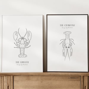 Hard Shell Sea Creatures Clipart Bundle. Marine Animals Vector Line Art ...