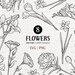Spring Flower SVG Clipart Bundle. 8 Vector Botanical Line Drawings ...