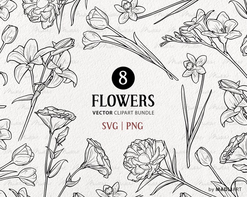 Spring Flower SVG Clipart Bundle. 8 Vector Botanical Line Drawings ...