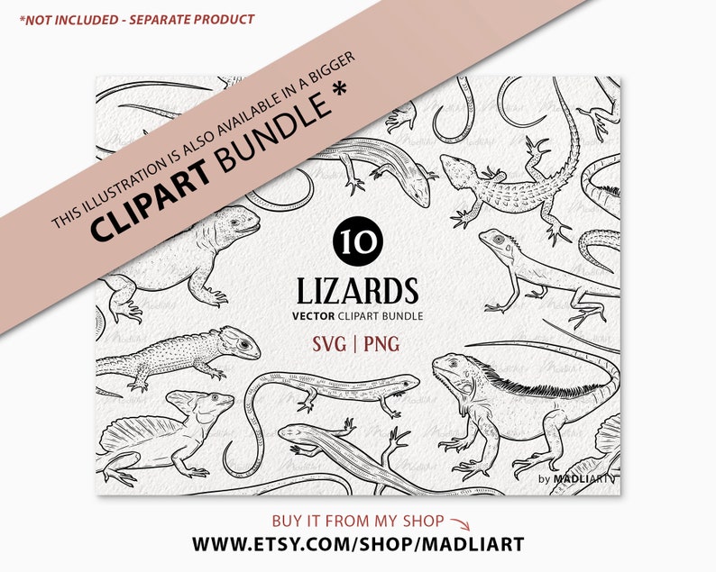 Green Anole Lizard SVG Clipart. Snake Like Lizard Vector Drawing. Blue ...