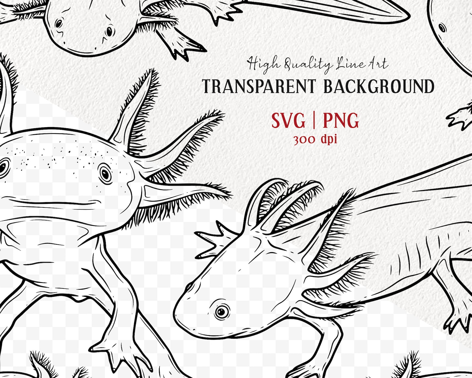 Axolotl Clipart Bundle. Salamander Vector Art. 5 Sea Creatures Drawings ...