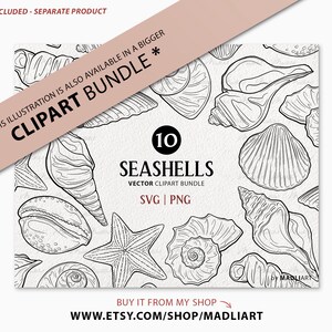 Seashell SVG Clipart. Ocean Themed Vector Line Drawing. Nautical Ocean ...