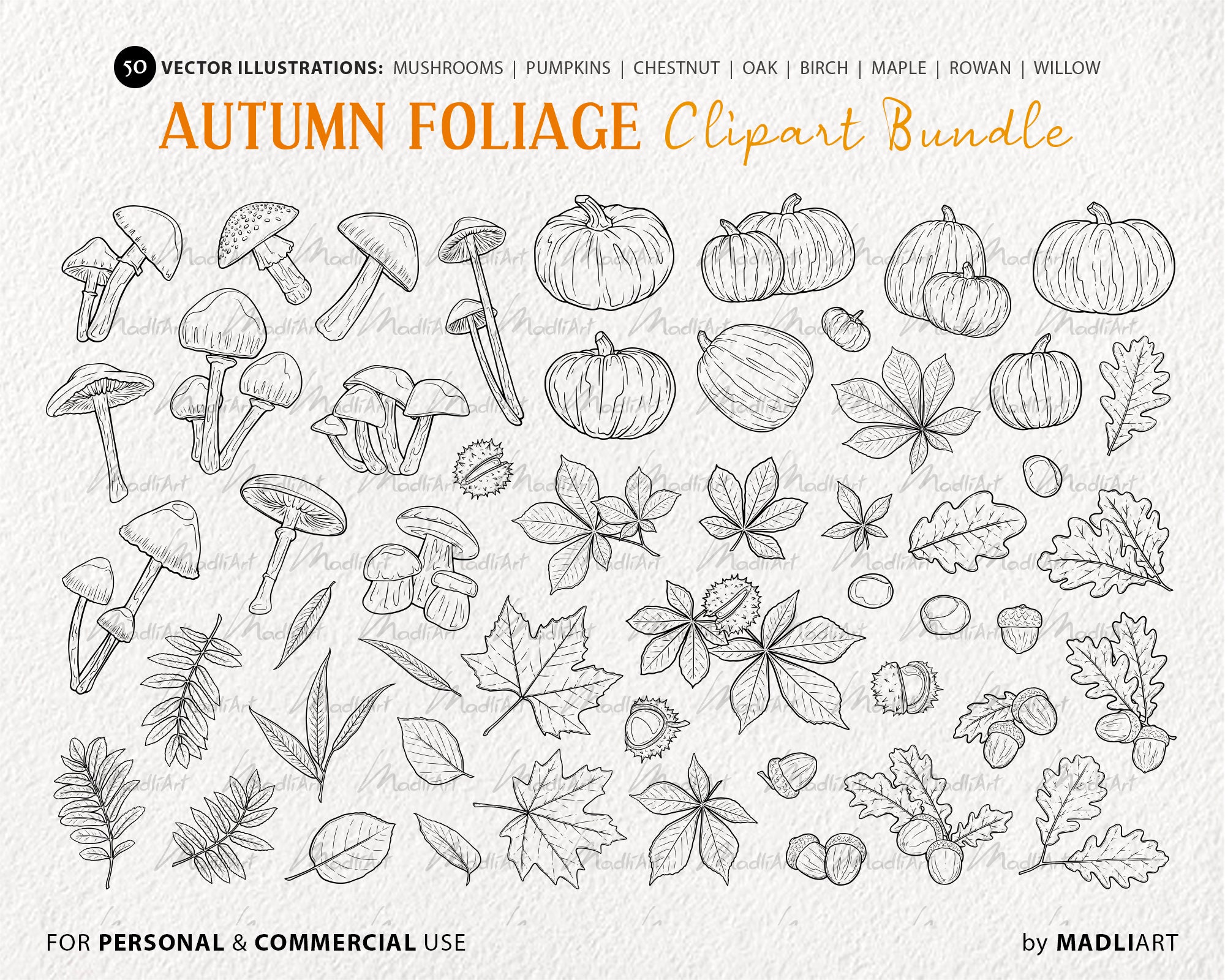 Autumn Foliage SVG Clipart Bundle. 50 Vector Fall Plants. Mushrooms ...