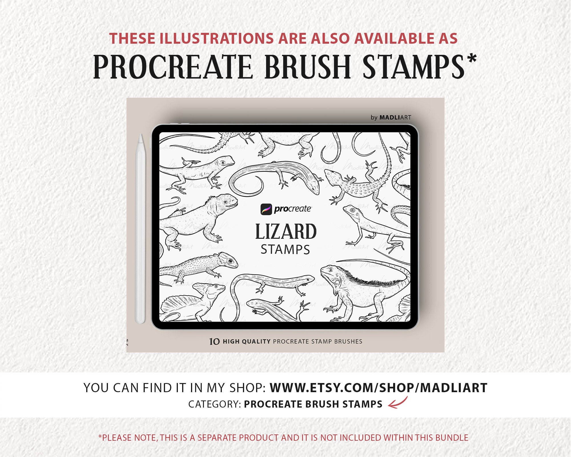 10 Lizard SVG Clipart Bundle. Reptile Vector Drawings. - Etsy