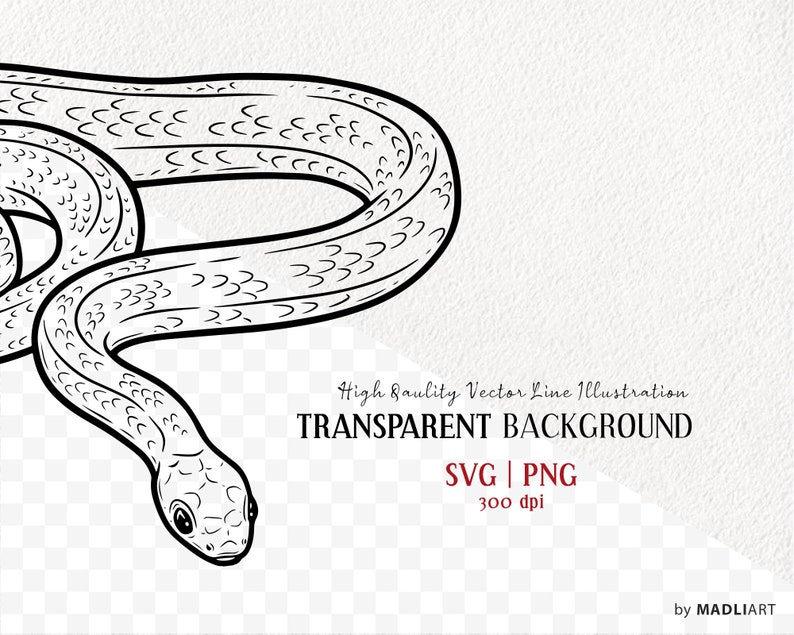 Red-bellied Snake SVG Clipart. Snake Vector Drawing. Cobra Tattoo ...