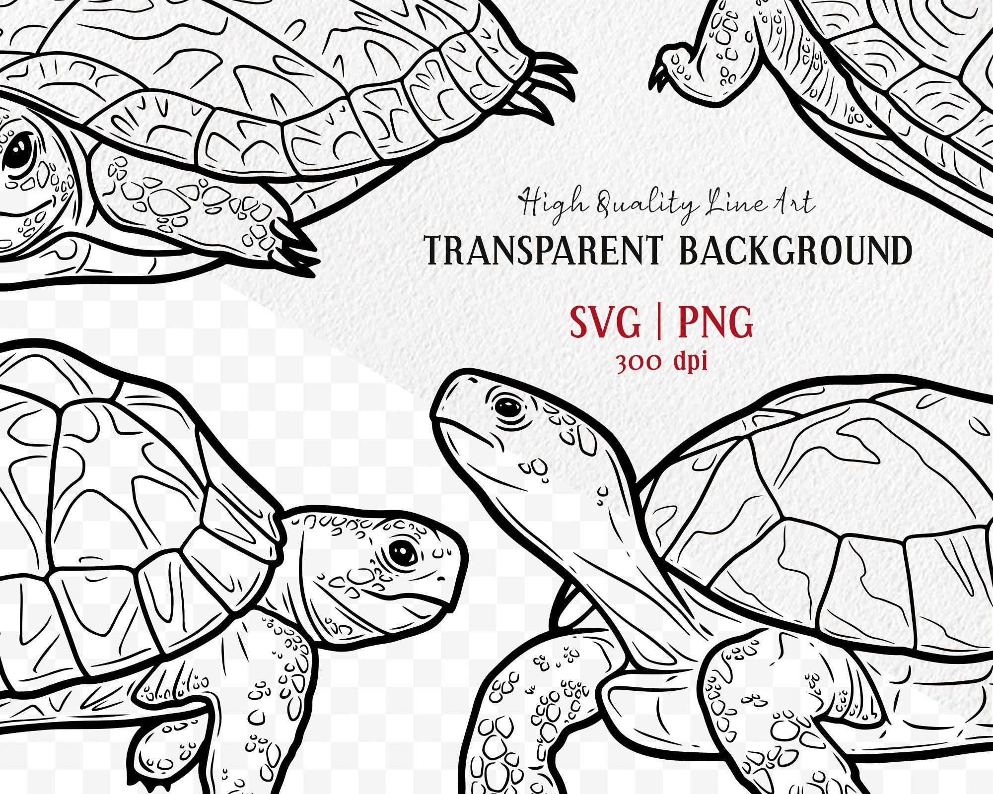 6 Tortoise SVG Clipart Bundle. Land Turtle Vector Artwork Set ...