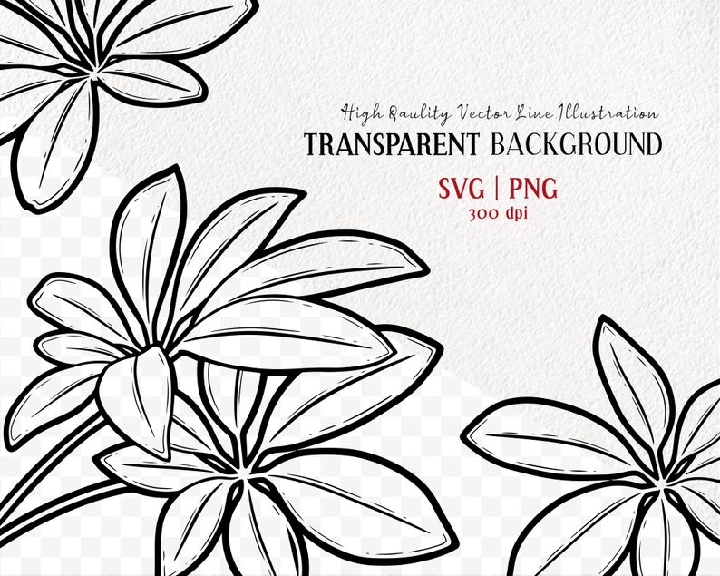 4 Tropical Schefflera Leaves Clipart Set. Jungle Plant Vector Art ...