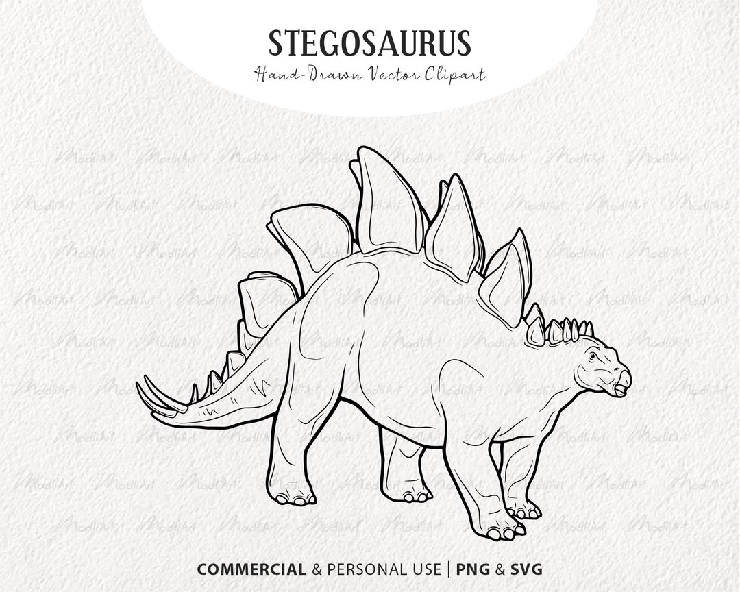 Stegosaurus Dinosaur Vector Clipart. Hand-drawn Dino Line Art. Jurassic ...