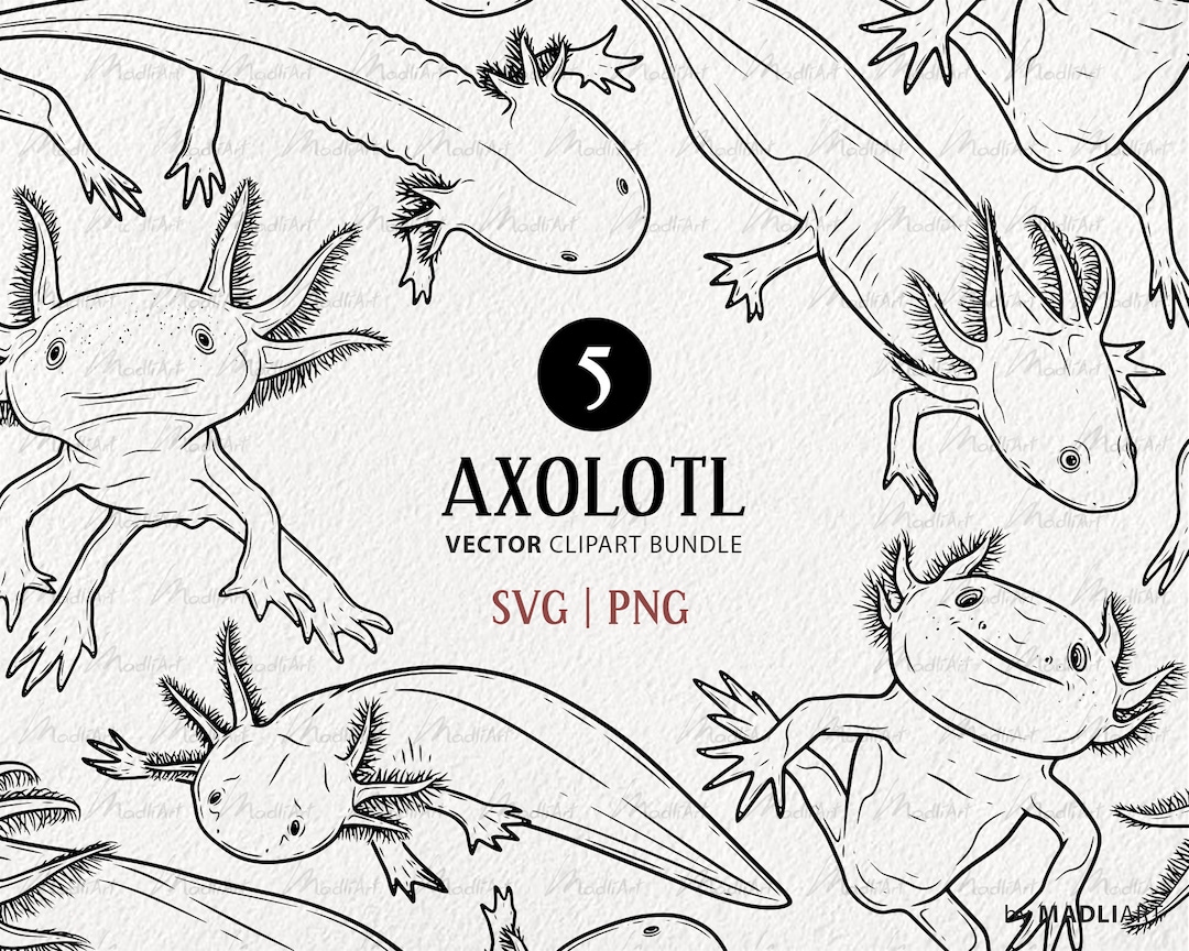 Axolotl Clipart Bundle. Salamander Vector Art. 5 Sea Creatures Drawings ...