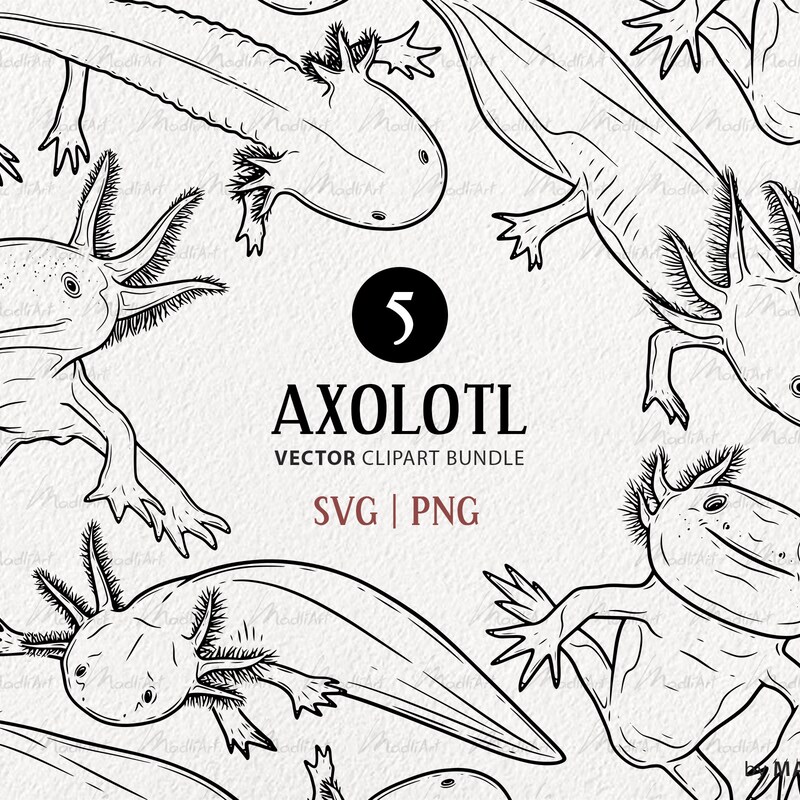 Sea Axolotl Clipart - Etsy