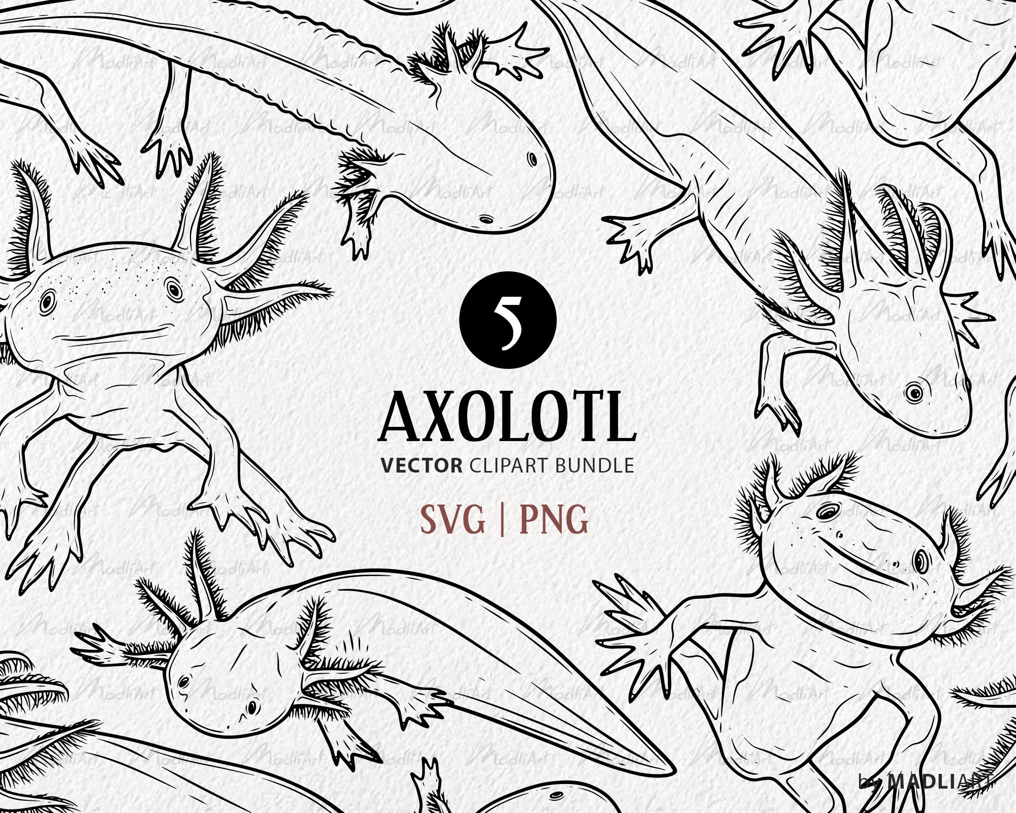 Axolotl Clipart Bundle. Salamander Vector Art. 5 Sea Creatures Drawings ...