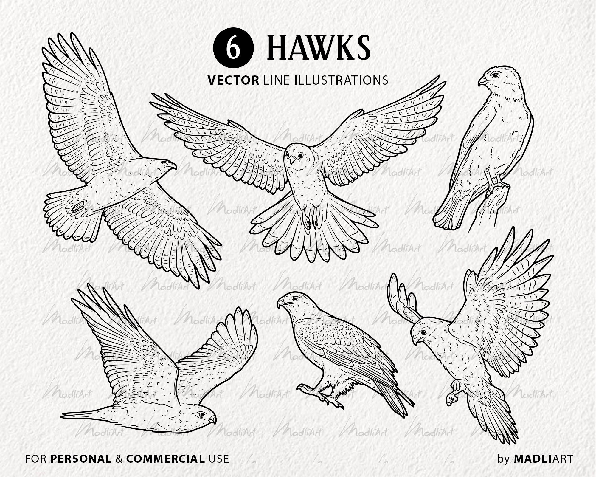 6 Hawks SVG Clipart Bundle. Eagle Vector Line Drawings. Bird of Prey ...