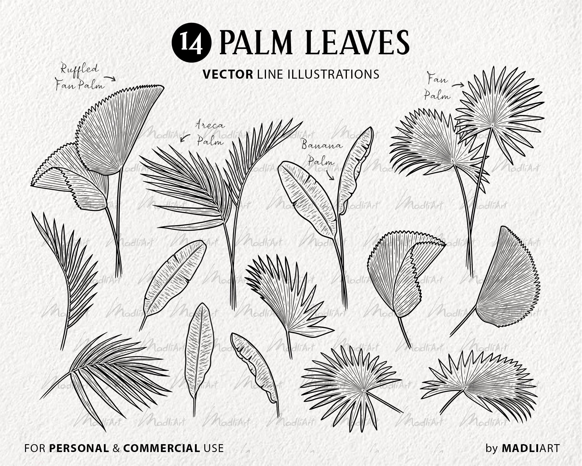 Palm Leaves SVG Clipart Bundle. 14 Vector Jungle Leaves. Tropical ...