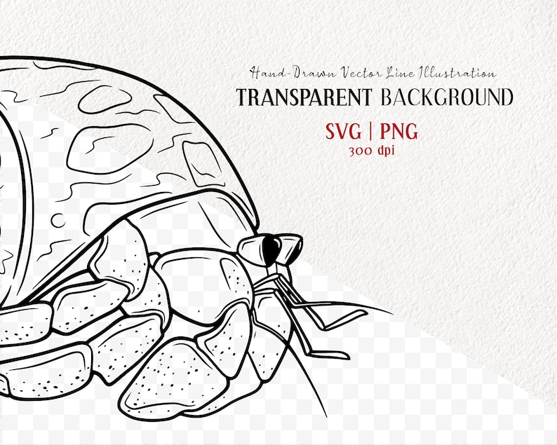 Hermit Crab SVG Clipart. Sea Creature Vector Line Drawing. Ocean Hard ...