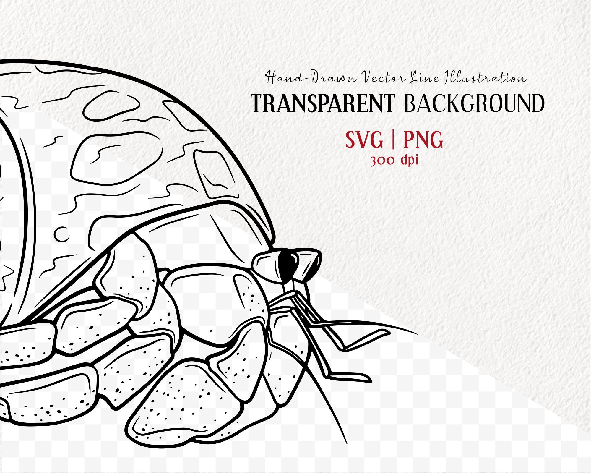 Hermit Crab SVG Clipart. Sea Creature Vector Line Drawing. Ocean Hard ...