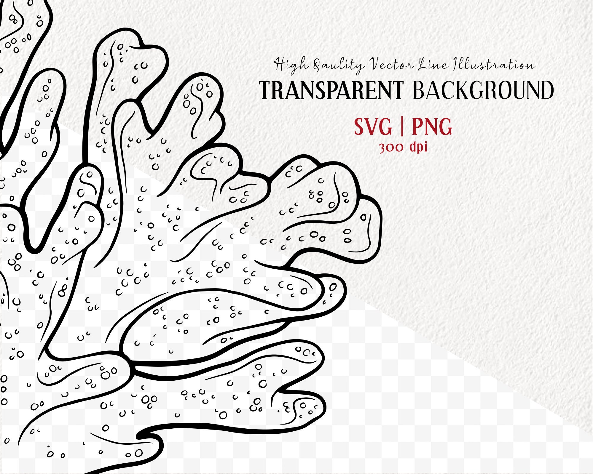 Coral SVG Clipart. Coral Vector Line Art. Coral Reef Illustration ...