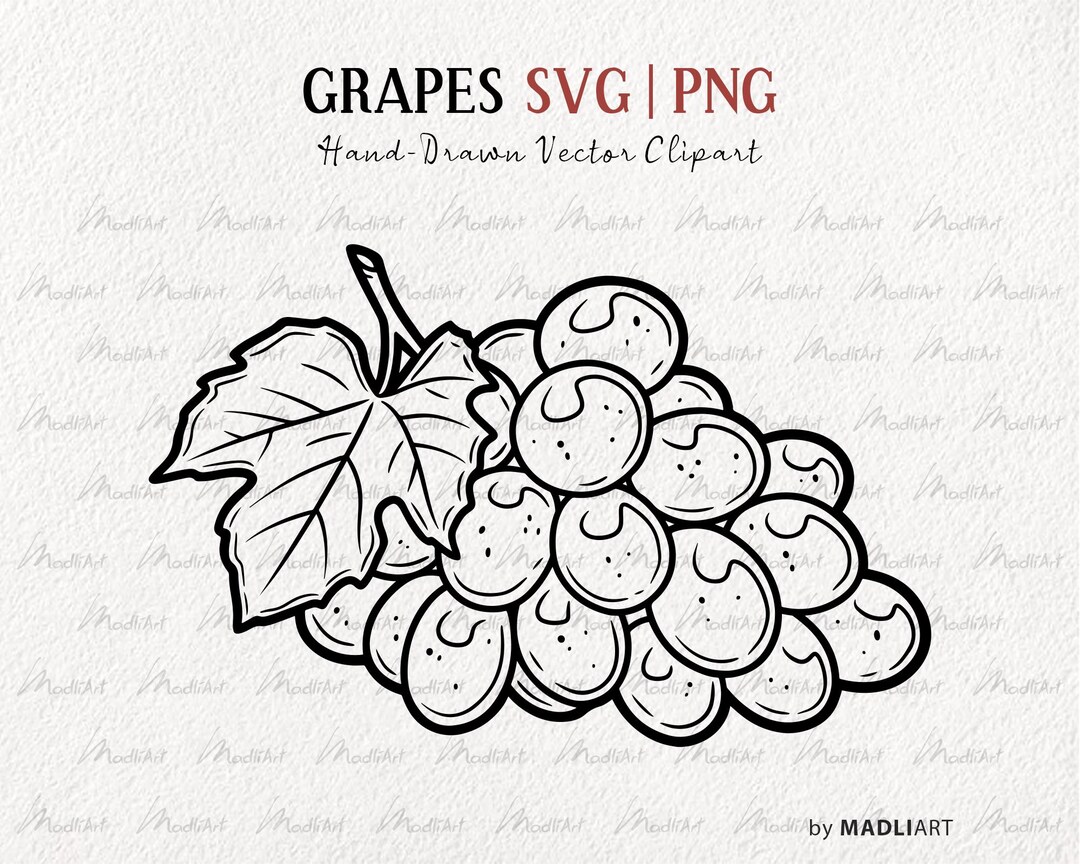 Grape SVG Clipart. Grape Vector Line Art. Grape Bundle Illustration ...
