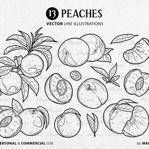Peach SVG Clipart Bundle. 13 Vector Peaches. Peach Tree Branches, Fruit ...