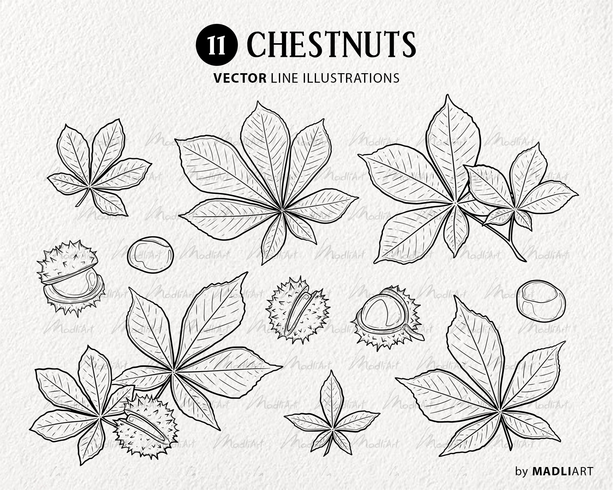 Chestnut Clipart Bundle. 11 Vector Autumn Elements. Fall - Etsy