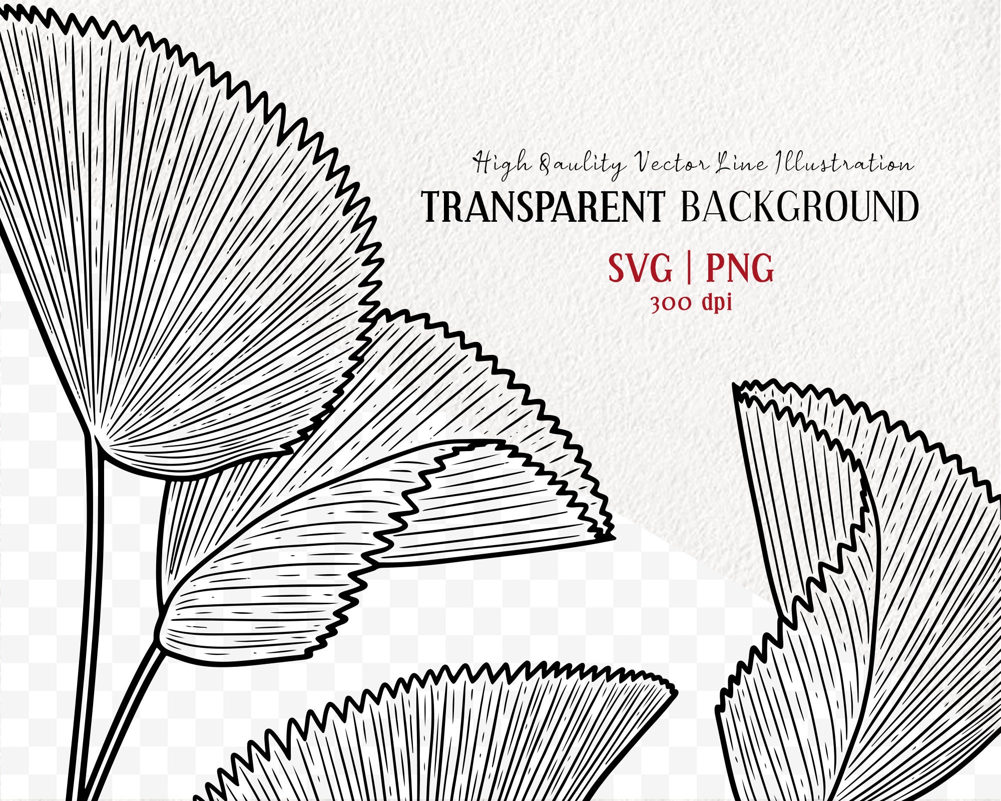 3 Ruffled Fan Palm Leaves Clipart Set. Jungle Palm Tree Vector Art ...