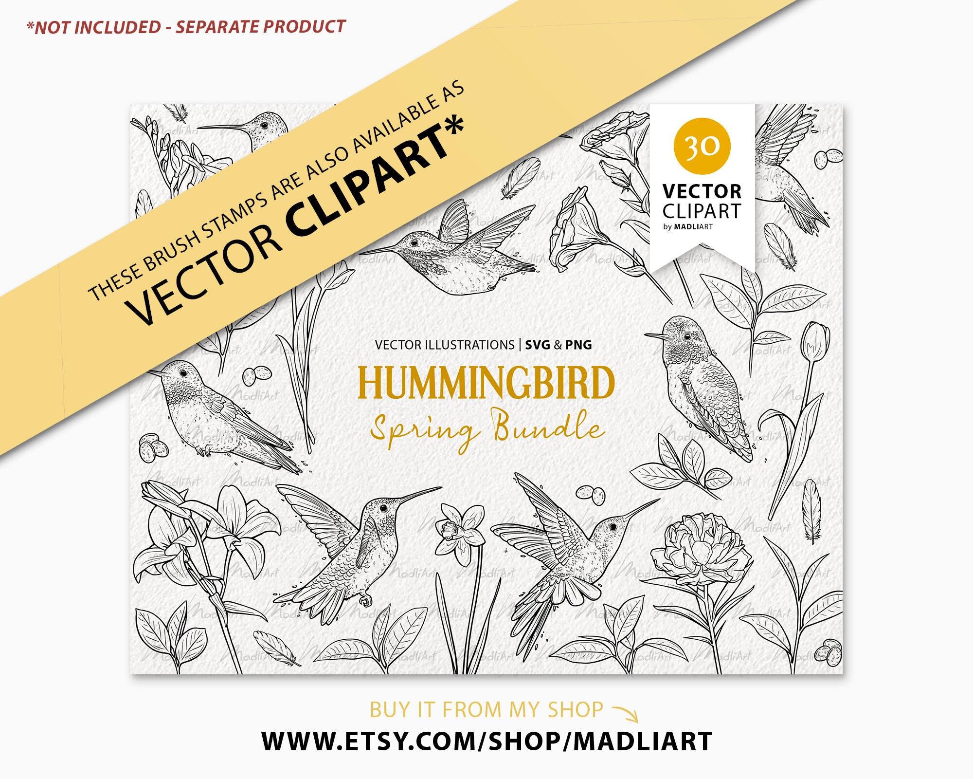 30 Procreate Spring Hummingbird Stamps. Spring Floral Tattoo - Etsy
