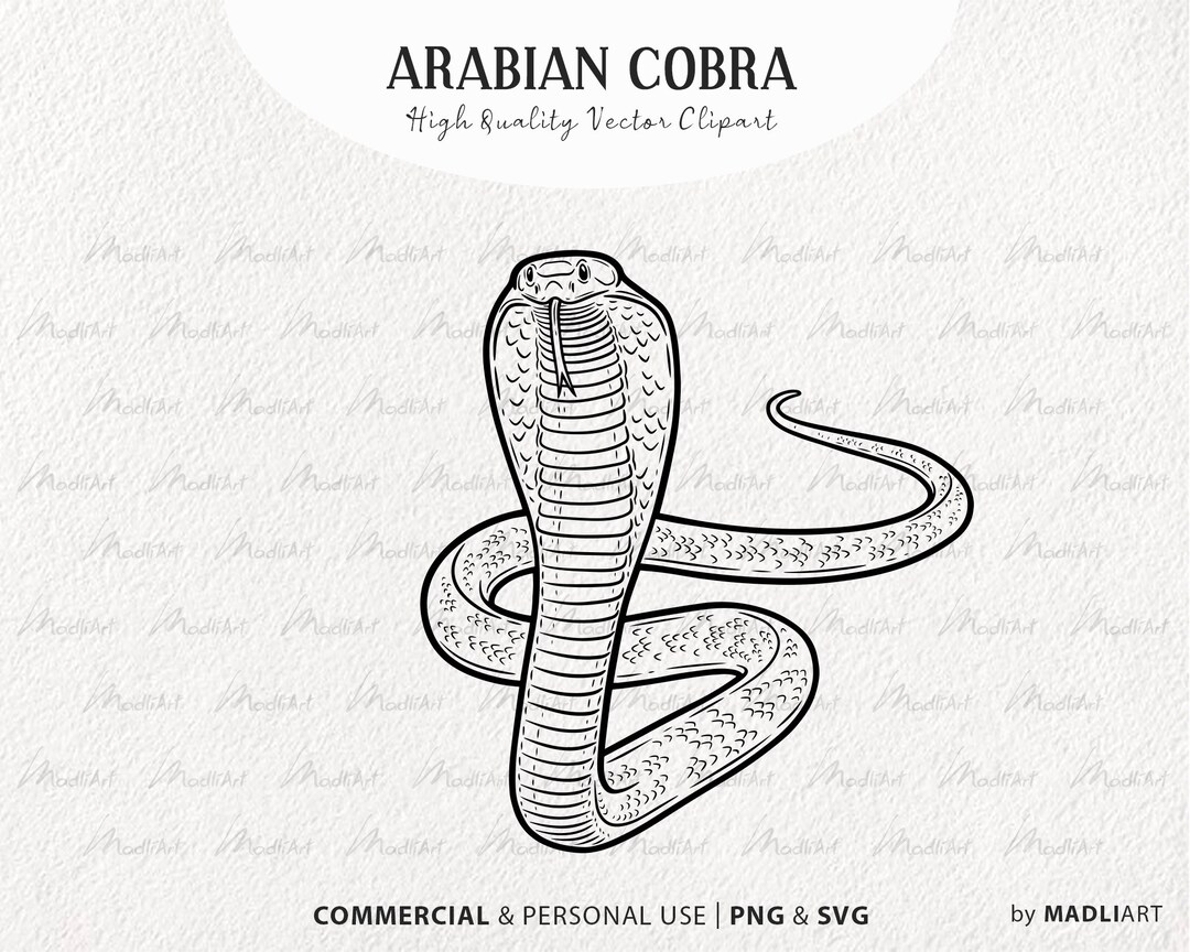 Arabian Cobra SVG Clipart. Snake Vector Drawing. Cobra Tattoo Design ...