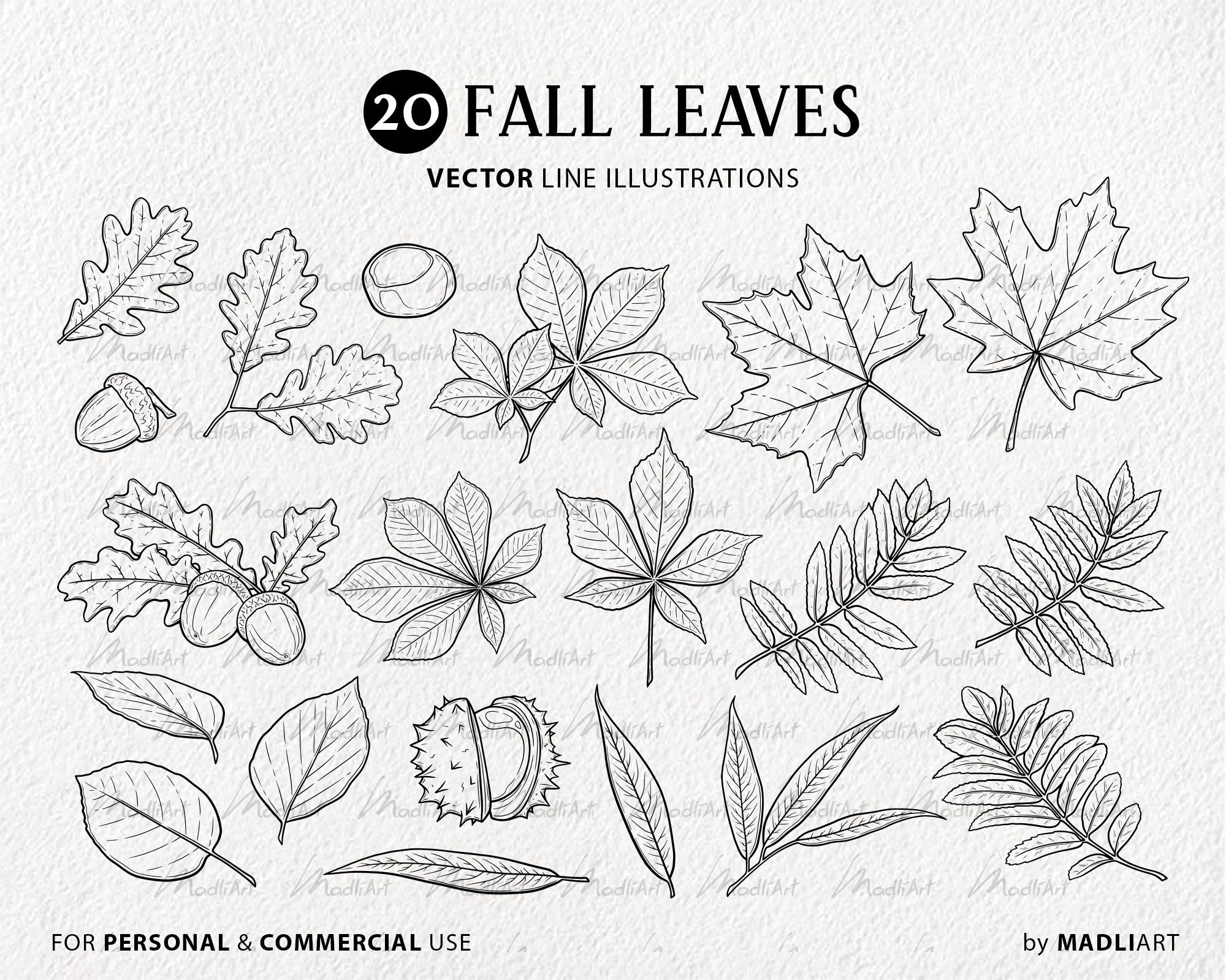 Fall Leaves SVG Clipart Bundle. 20 Vector Autumn Outlines. Oak, Maple ...