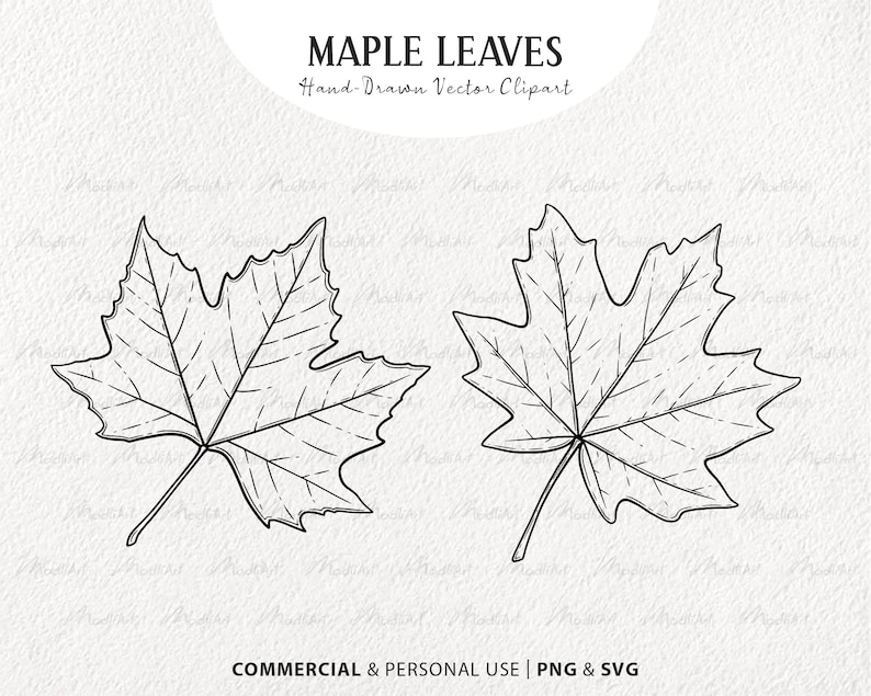 Maple Leaves SVG Clipart Set. 2 Vector Fall Leaf Elements. Autumn Leaf Line Illustrations ...
