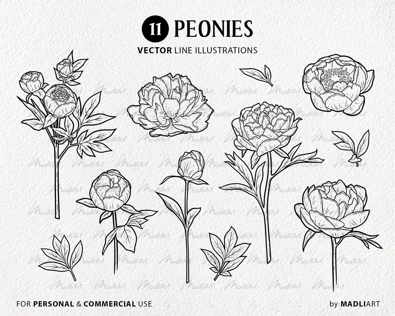 11 Peony Flower SVG Clipart Bundle. Spring Peony Blossoms. Flower ...