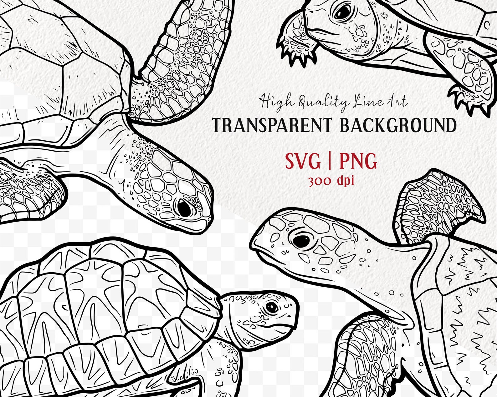 12 Turtles SVG Clipart Bundle. Sea Turtle & Land Tortoise Vector ...