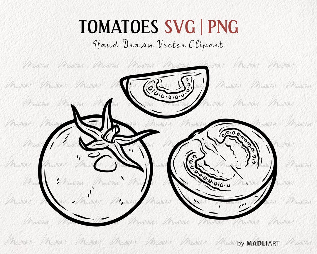 Tomato SVG Bundle. 3 Tomato Vector Line Drawings. Tomato Vegetable ...