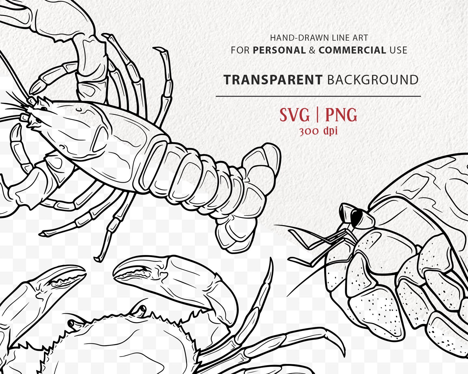 Hard Shell Sea Creatures Clipart Bundle. Marine Animals Vector - Etsy