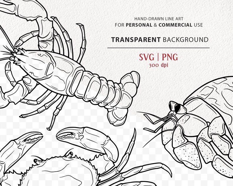 Hard Shell Sea Creatures Clipart Bundle. Marine Animals Vector - Etsy