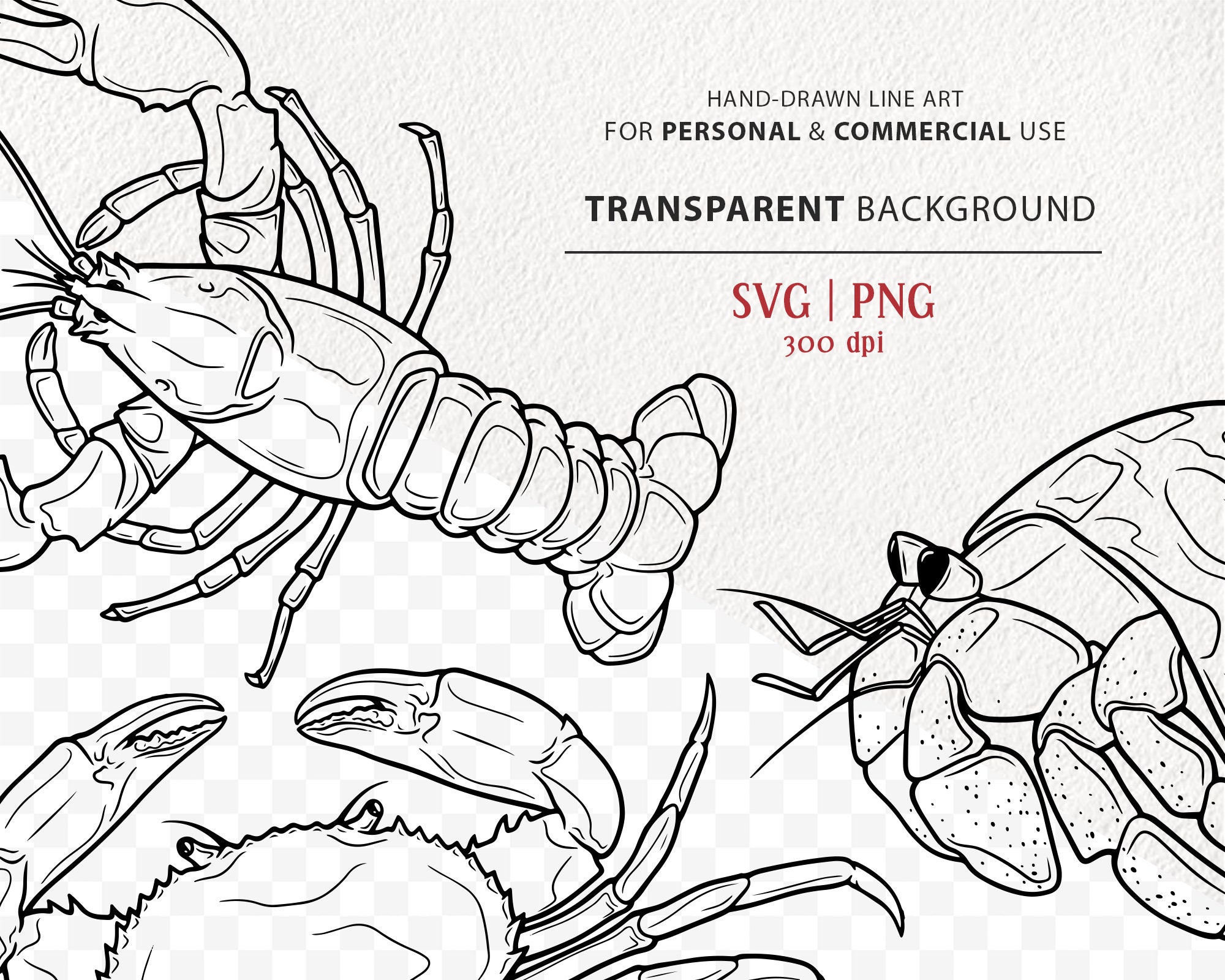 Hard Shell Sea Creatures Clipart Bundle. Marine Animals Vector - Etsy