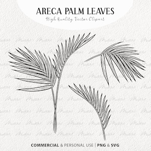 3 Areca Palm Leaves Clipart Set. Jungle Palm Tree Vector Art. Tropical ...