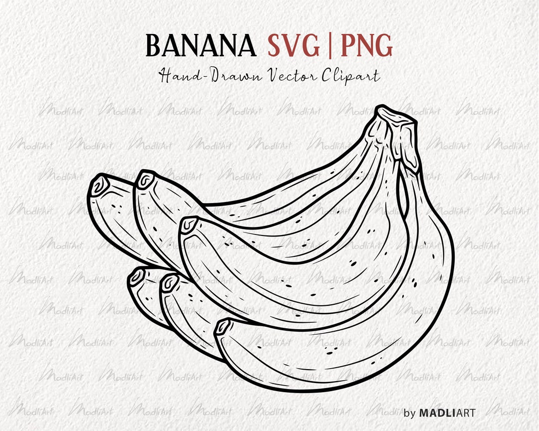 Banana Bunch SVG Clipart. Banana Vector Line Art. Banana Fruit Outline ...