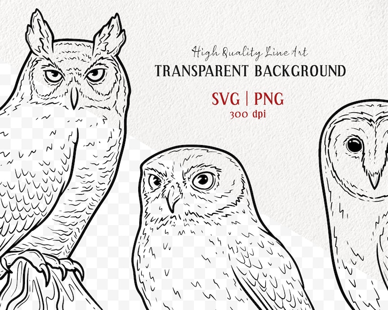 6 Owl SVG Bundle. Owl Clipart Line Drawings. Barn Owl, Horned Owl Tattoo Art. Owl Bird Outline ...