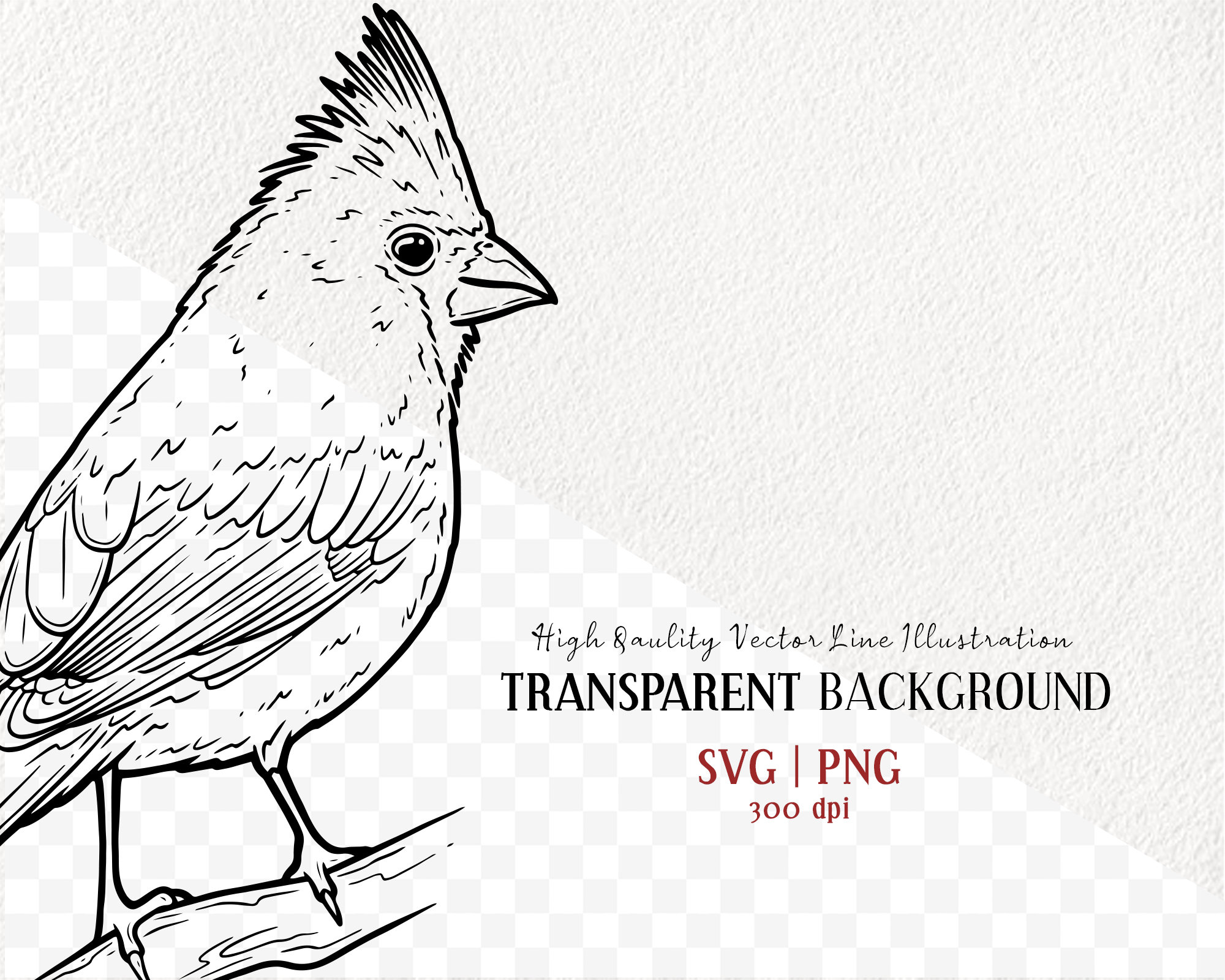 Cardinal Vector Clipart Bundle. Little Red Birds. Flying Birds Outline ...