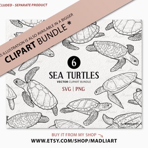 Leatherback Sea Turtle SVG Clip Art. Sea Turtle Vector Line Art. Sea ...