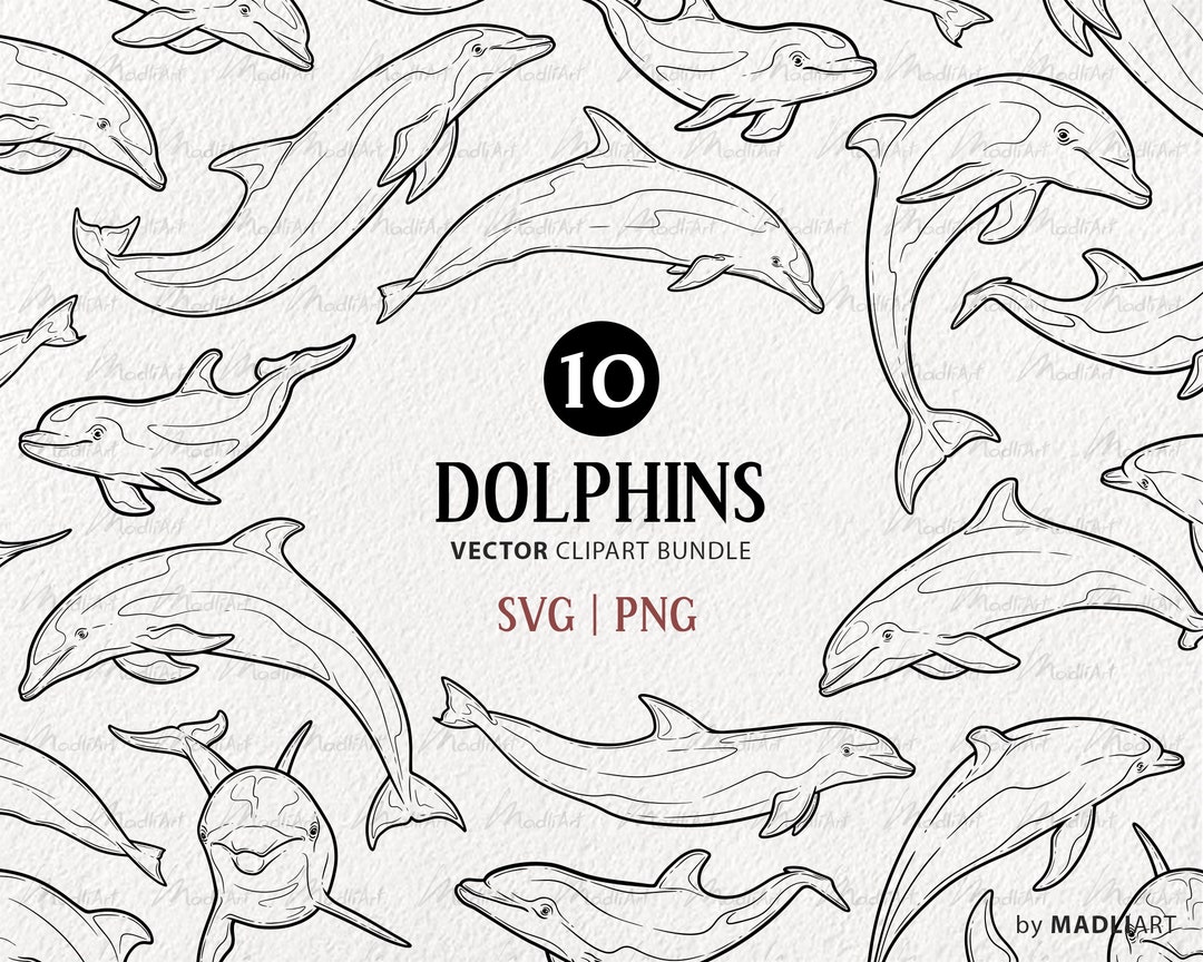 10 Dolphins Vector Clipart Bundle. Ocean Animal SVG Line Art Set ...