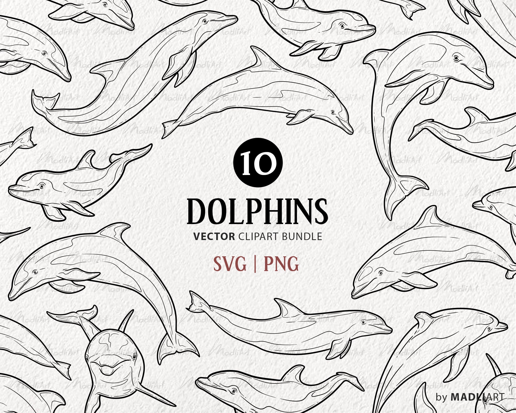 10 Dolphins Vector Clipart Bundle. Ocean Animal SVG Line Art - Etsy