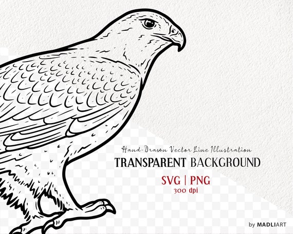 Hawk Outline Drawing Hawk Clipart Hawk Outline, Hawk Hawk Outline