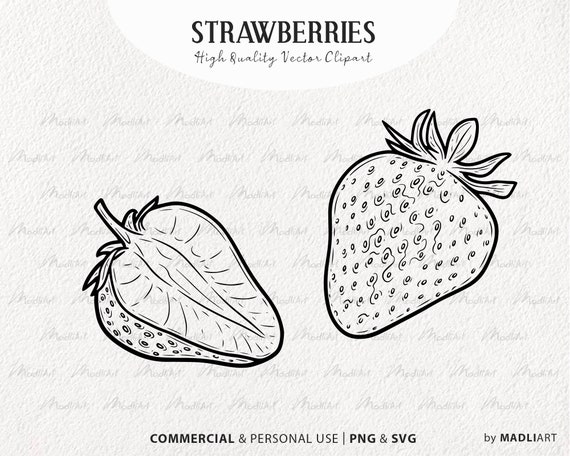 Strawberries Clip Art Black And White